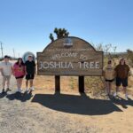 Sightseeing Adventure Tour of Joshua Tree Park (Max 10) - Who Should Consider This Tour?