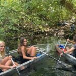 Silver Springs: Guided Clear Kayak or Paddleboard Gator Tour - The Real Value of the Experience