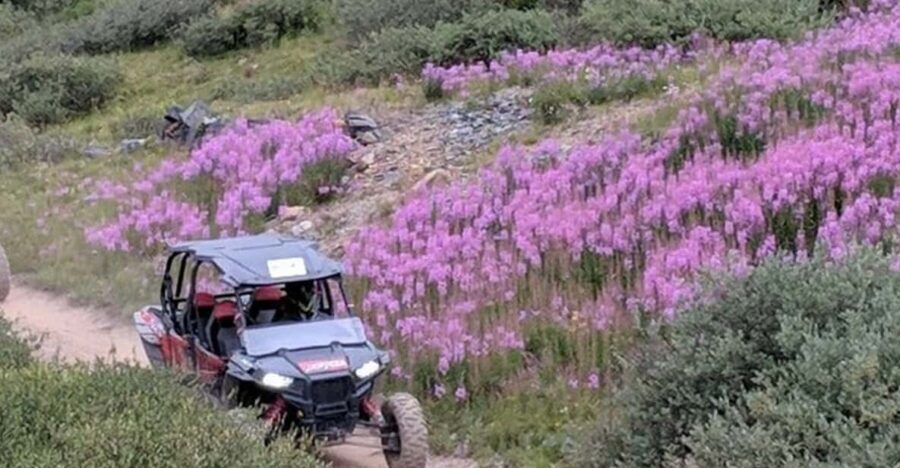 Silverton: Half-Day ATV Offroad Adventure - The Experience: What You Can Expect