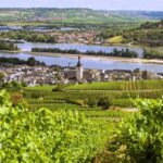 Sip Wine Along the Rhine - Grape Day out from Frankfurt - Vineyard Views and Photo Opportunities