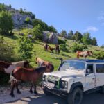 Skywalk (1228 m) and St. George (1762 m) Defender Tour - The Itinerary Breakdown