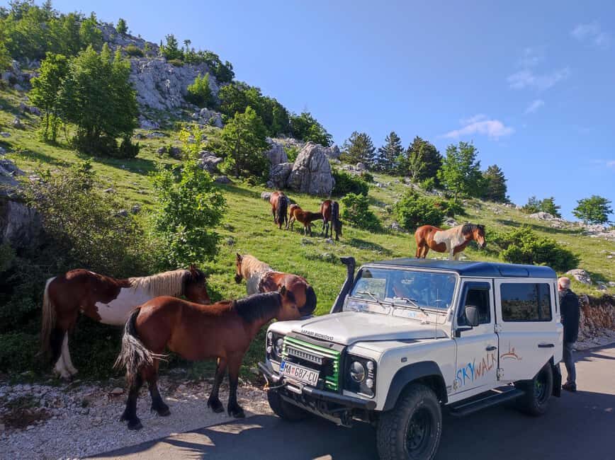 Skywalk (1228 m) and St. George (1762 m) Defender Tour - The Itinerary Breakdown
