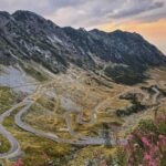 Small group max 7 - Bears Safari on Top Gear -Transfgran - Exploring Romania’s Mountain Wonders and Wildlife