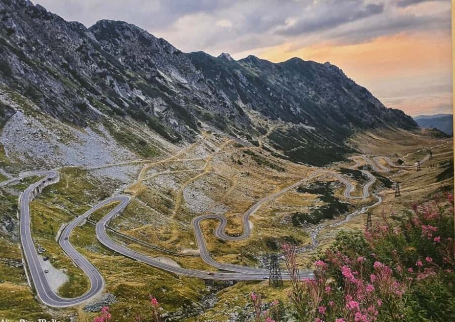 Small group max 7 - Bears Safari on Top Gear -Transfgran - Exploring Romania’s Mountain Wonders and Wildlife