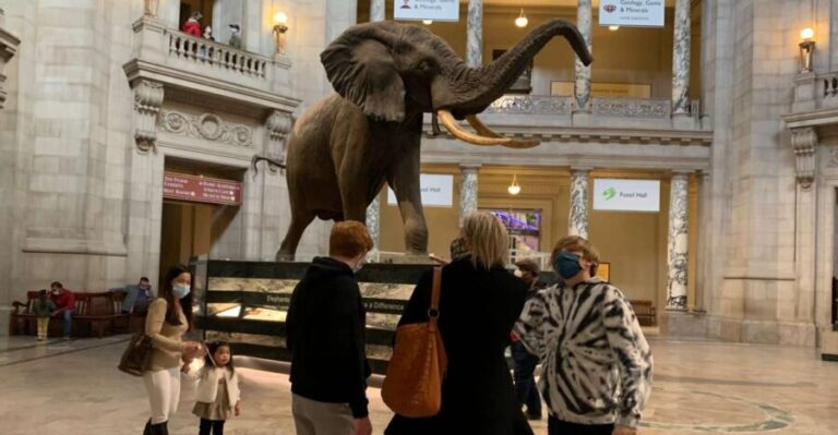 Smithsonian National Museum of Natural History Guided Tour - Authentic Reviews in Context