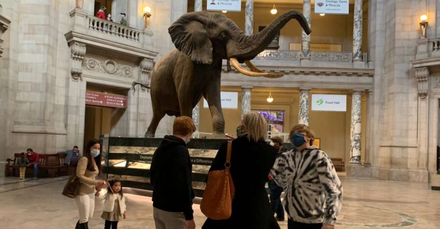 Smithsonian National Museum of Natural History Guided Tour - Authentic Reviews in Context