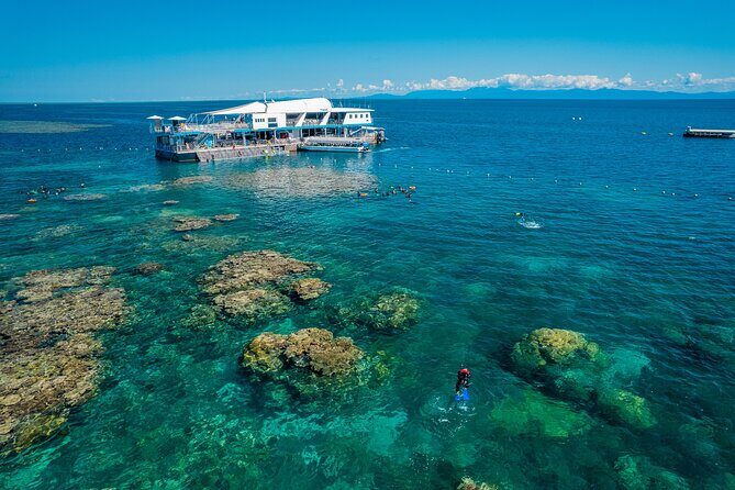 Snorkel & Dive the Reef: Sustainable, Scientific & Cultural Tour - Authentic Experiences & Real-World Feedback