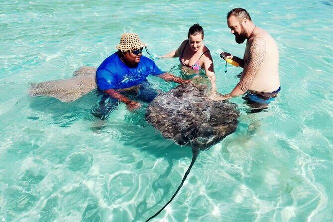 Snorkeling excursion and encounter with marine fauna in Moorea - What Do Travelers Say?