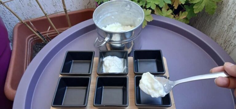 Sofia: Taste Bulgarian Yogurt Kiselo Mlyako in a Family Home - Introduction