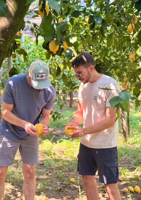 Sorrento: Lemon Tour with Limoncello Tasting - The Value of the Experience