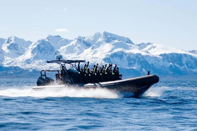 Sortland: Fjord and Sea Eagle Safari by RIB Boat - FAQ about the Sortland Fjord and Sea Eagle Safari