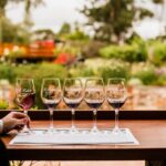St Hallett Ultimate "Barossa Shiraz" Experience - Authentic Experiences and Real Reviews