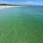 St. Petersburg, FL: 4-Hour Private Beach Tour - Exploring Shell Key Preserve