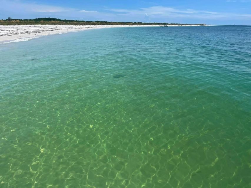 St. Petersburg, FL: 4-Hour Private Beach Tour - Exploring Shell Key Preserve