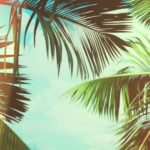 St Petersburg: In-Shore Fishing Charter - What Makes It Special?