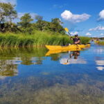 Stockholm Archipelago: Fun-Day Kayaking with Island Lunch - What Travelers Say
