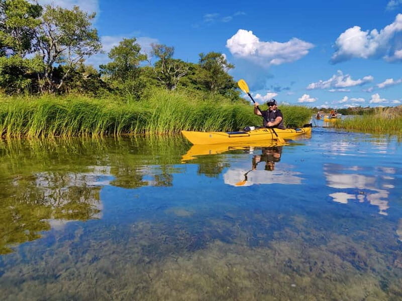 Stockholm Archipelago: Fun-Day Kayaking with Island Lunch - What Travelers Say