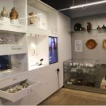 Stockholm: Vasa Museum, Vrak & Canal Live Guided Boat Tour - Who Is This Tour Best For?