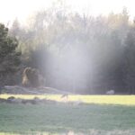 Stockholm: Wildlife Tour With Dinner and Short Hike - Why This Tour Is a Real Winner