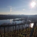 Stuttgart: 4-castle winter hike with costume tour - The Sum Up: Is This Tour Right for You?
