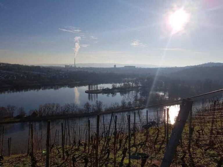 Stuttgart: 4-castle winter hike with costume tour - The Sum Up: Is This Tour Right for You?