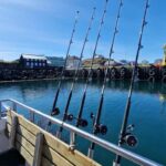 Stykkishólmur: Sea Angling Tour with Local Guide - How the Tour Fits Into Your Day
