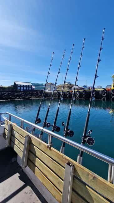 Stykkishólmur: Sea Angling Tour with Local Guide - How the Tour Fits Into Your Day