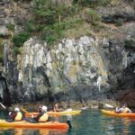 Sunrise wildlife sea kayaking in Akaroa marine reserve - What You’ll See and Experience