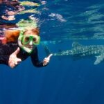 Swimming with the Whale Sharks - Ningaloo Reef (Exmouth) - Who Should Book This Tour?