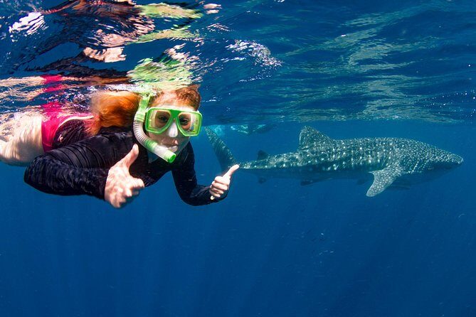Swimming with the Whale Sharks - Ningaloo Reef (Exmouth) - Who Should Book This Tour?