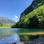 Swiss Highlights: Guided Zürich, Lucerne and Basel tour - What to Expect: A City-by-City Breakdown