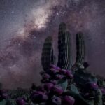 Tabernas Desert: Night of Stars with Telescopes - What You Can Expect from the Tour