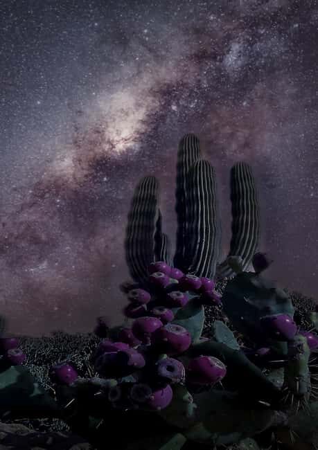 Tabernas Desert: Night of Stars with Telescopes - What You Can Expect from the Tour
