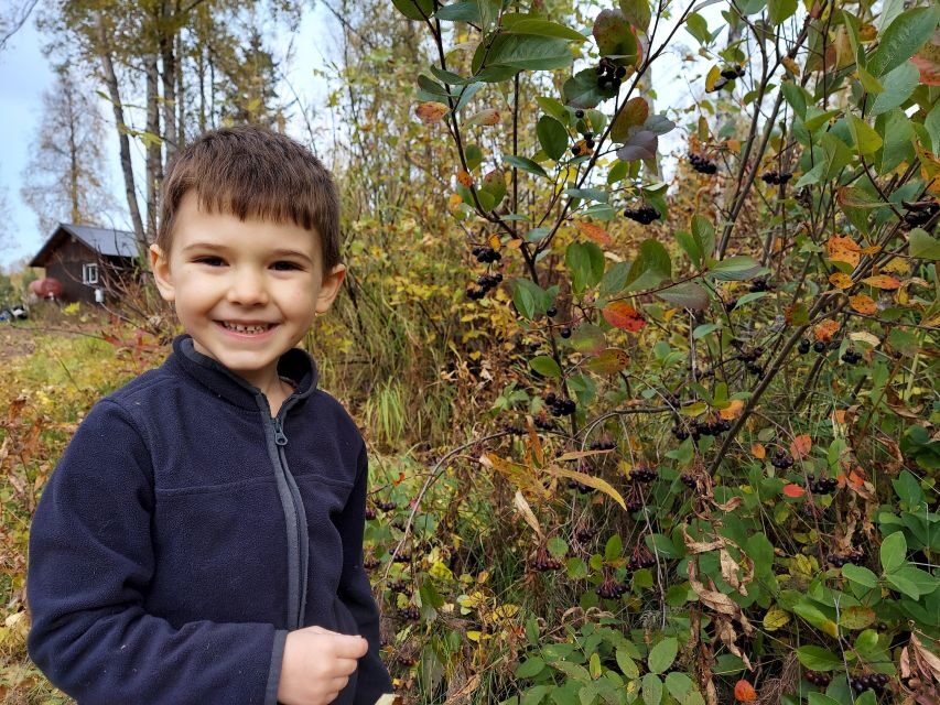 Talkeetna: The Reindeer Grove Homestead Tour and Forage - Evaluating the Value