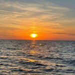 Tampa Bay: Sunset Cruise with Celebrity Homes and Wildlife - What’s Included and What’s Not