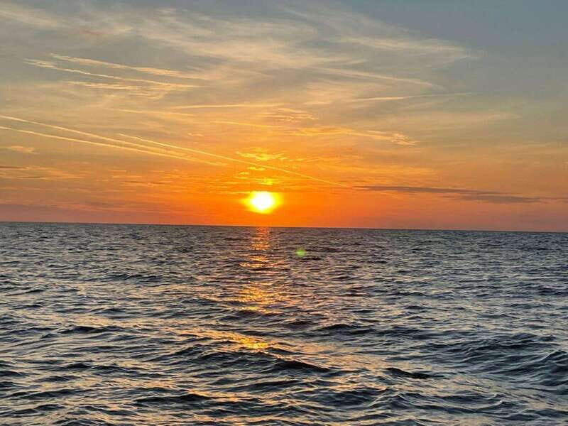 Tampa Bay: Sunset Cruise with Celebrity Homes and Wildlife - What’s Included and What’s Not
