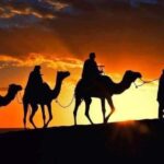 Tangier: Day Trip from Tarifa To Tanger { camel ride - The Value of This Tour