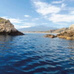 Taormina and Giardini Naxos: 2 Hour Dolphin Tour & Grotto - The Experience of the Boat and the Sights