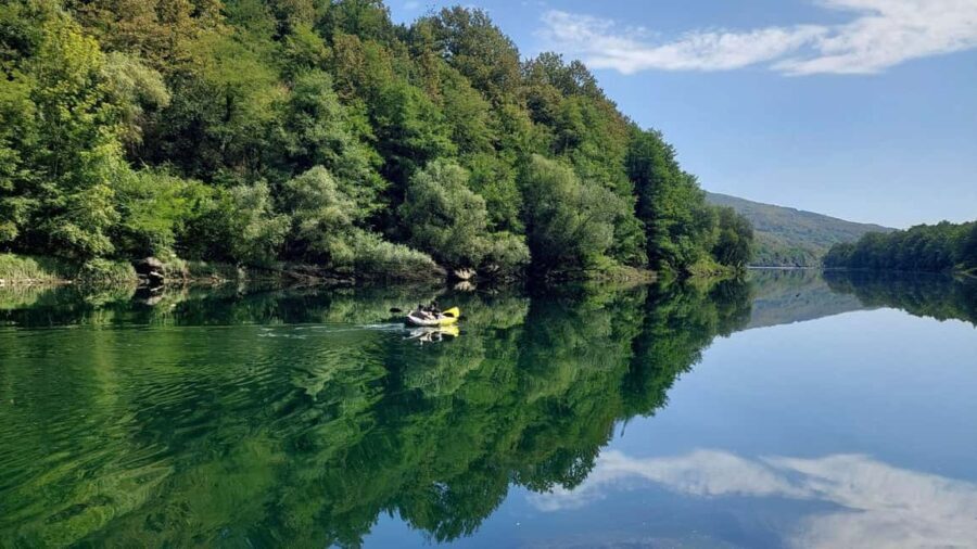 Tara National Park: Drina River Kayak or SUP Tour with Guide - An Authentic Experience on Serbia’s Pristine Waters