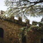 Tastes of History at Castello il Palagio - The Guided Tour Through the Castle