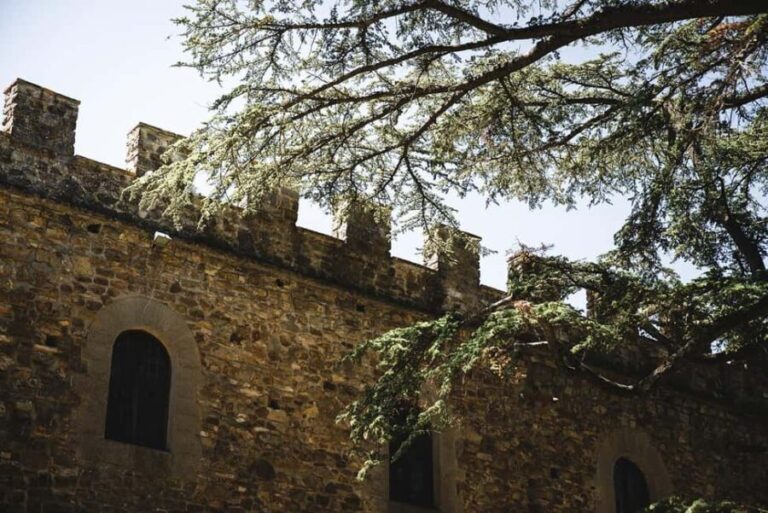 Tastes of History at Castello il Palagio - The Guided Tour Through the Castle
