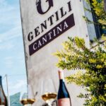 Tasting in the cellar, in Caprino Veronese, Pesina. - Analyzing Value and Practicalities
