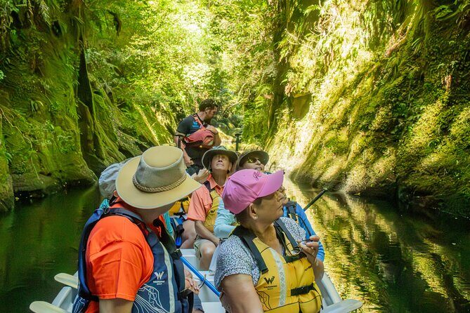 Tauranga Daytime Scenic Lake McLaren Tour - Who Will Love This Tour?