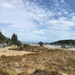 Tauranga Shore Excursion: History & Kiwifruit Tasting  4 Hours - The Itinerary: A Descriptive Breakdown