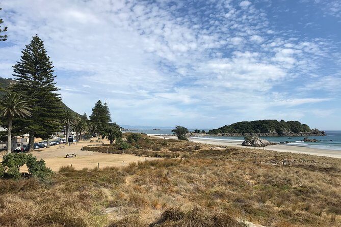 Tauranga Shore Excursion: History & Kiwifruit Tasting  4 Hours - The Itinerary: A Descriptive Breakdown
