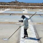 Tavira City & Olive Factory - The Sum Up: Who Is This Perfect For?