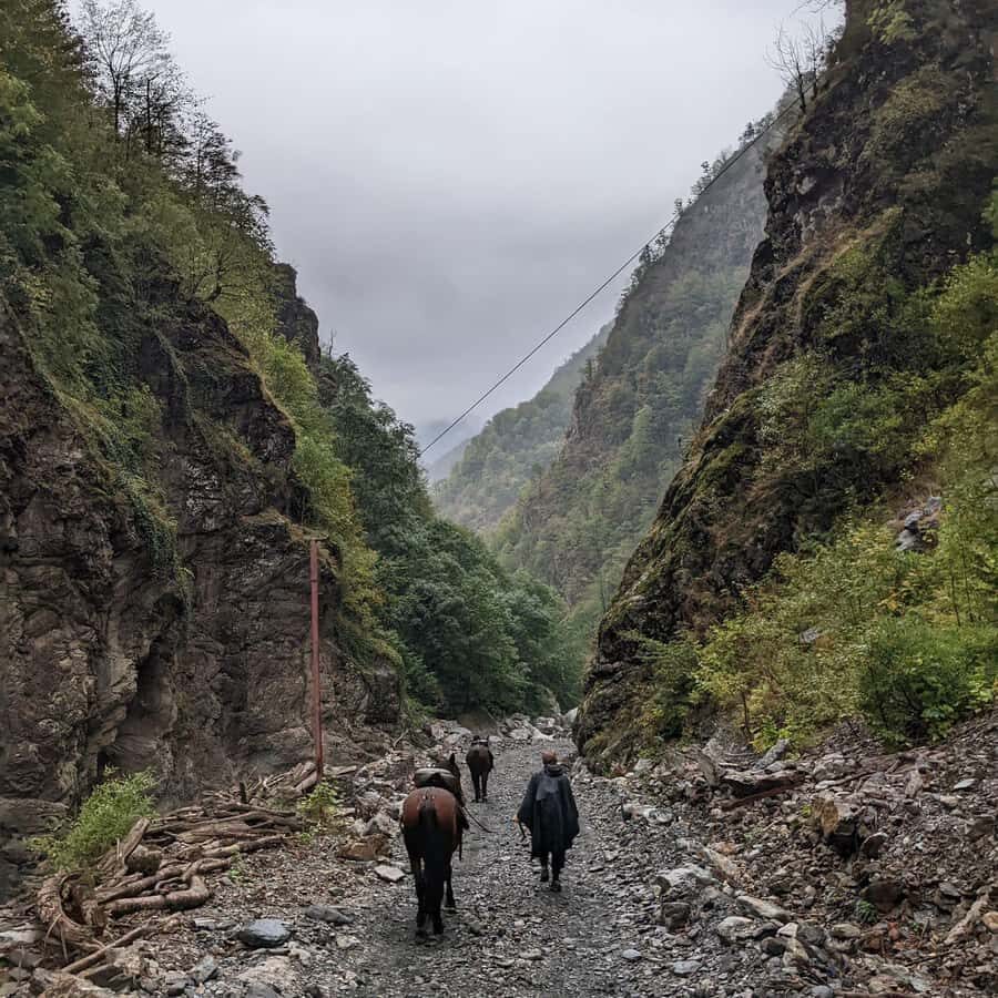 Tbilisi: Pankisi Gorge Horse Riding Tour with Dinner - The Horseback Riding Experience