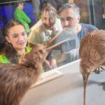 Te Papa Museum Entry International Visitors - What Reviewers Say