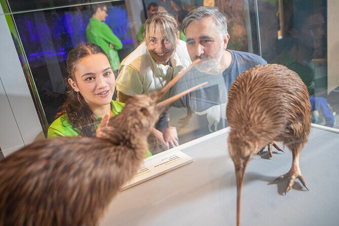 Te Papa Museum Entry International Visitors - What Reviewers Say