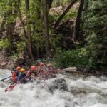 Telluride Morning Half Day Rafting Trip - San Miguel River - What to Expect During the Trip